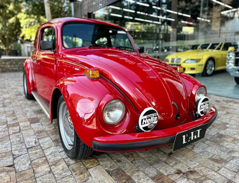 VW FUSCA ITAMAR - 1996 - L'ART